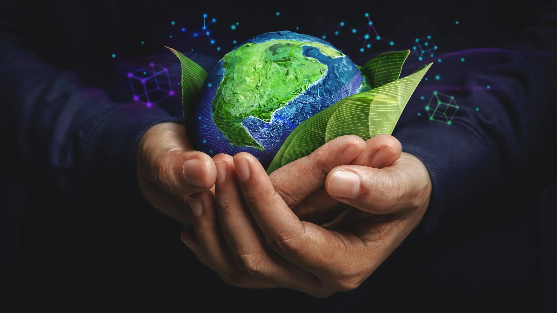 THE GREENSTER IS A SECURE, NON-TOXIC, ECOLOGICAL WITH ZERO EMISSIONS ...